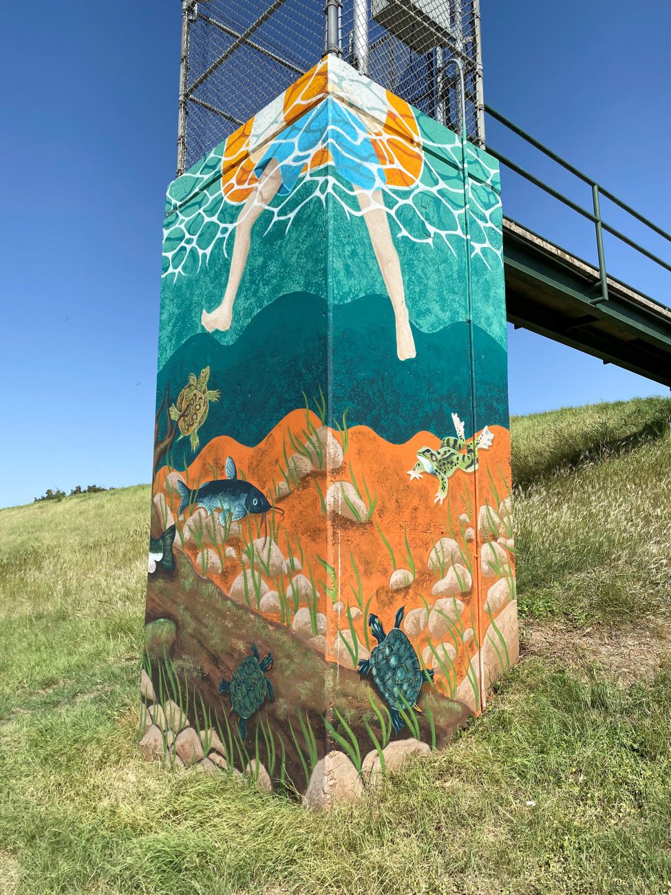 Painting the River: A Trinity Trails Mural Gallery – Tarrant Regional ...