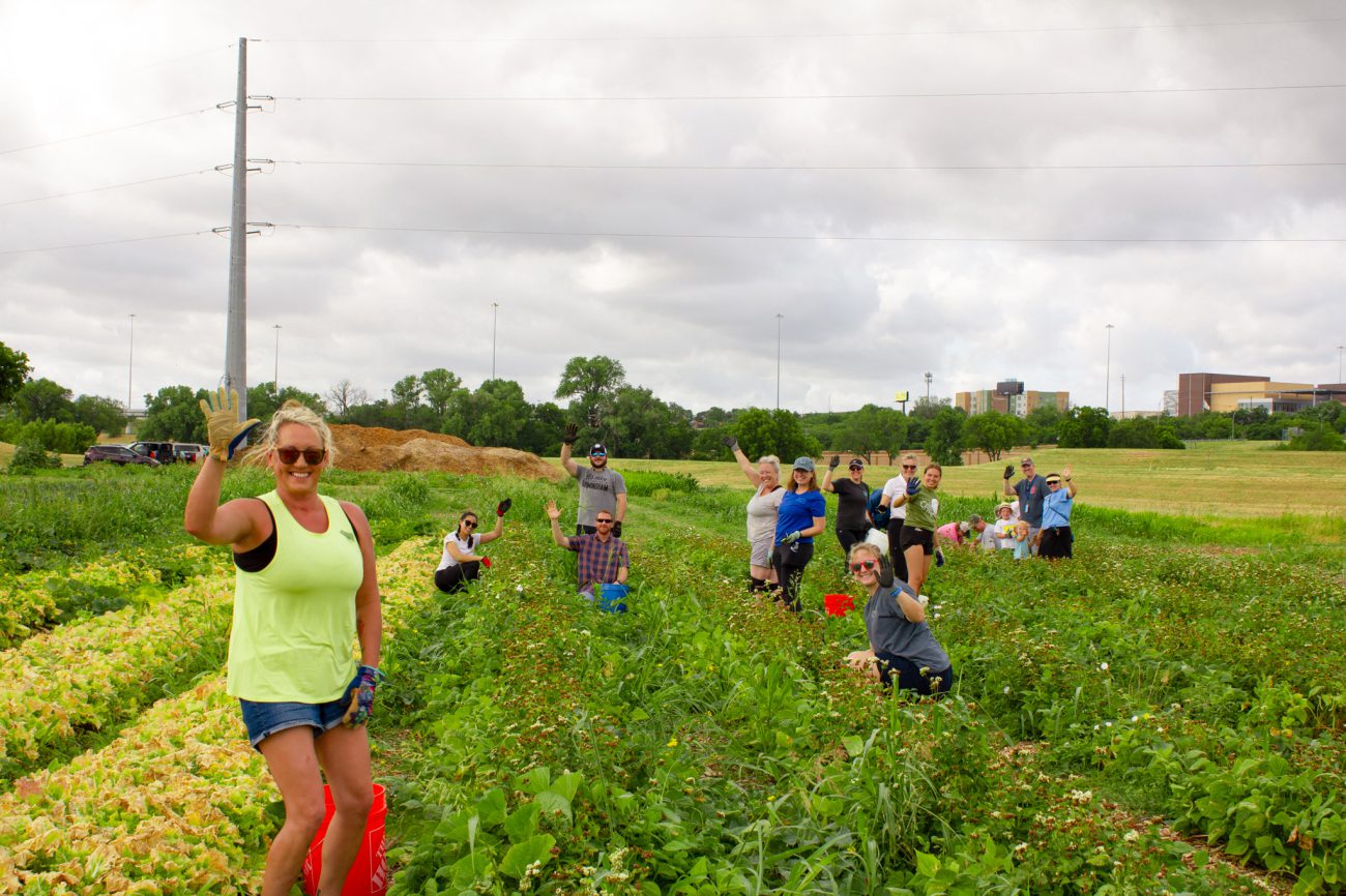 TRWD, Opal’s Farm partnership establishes roots of urban farm movement ...