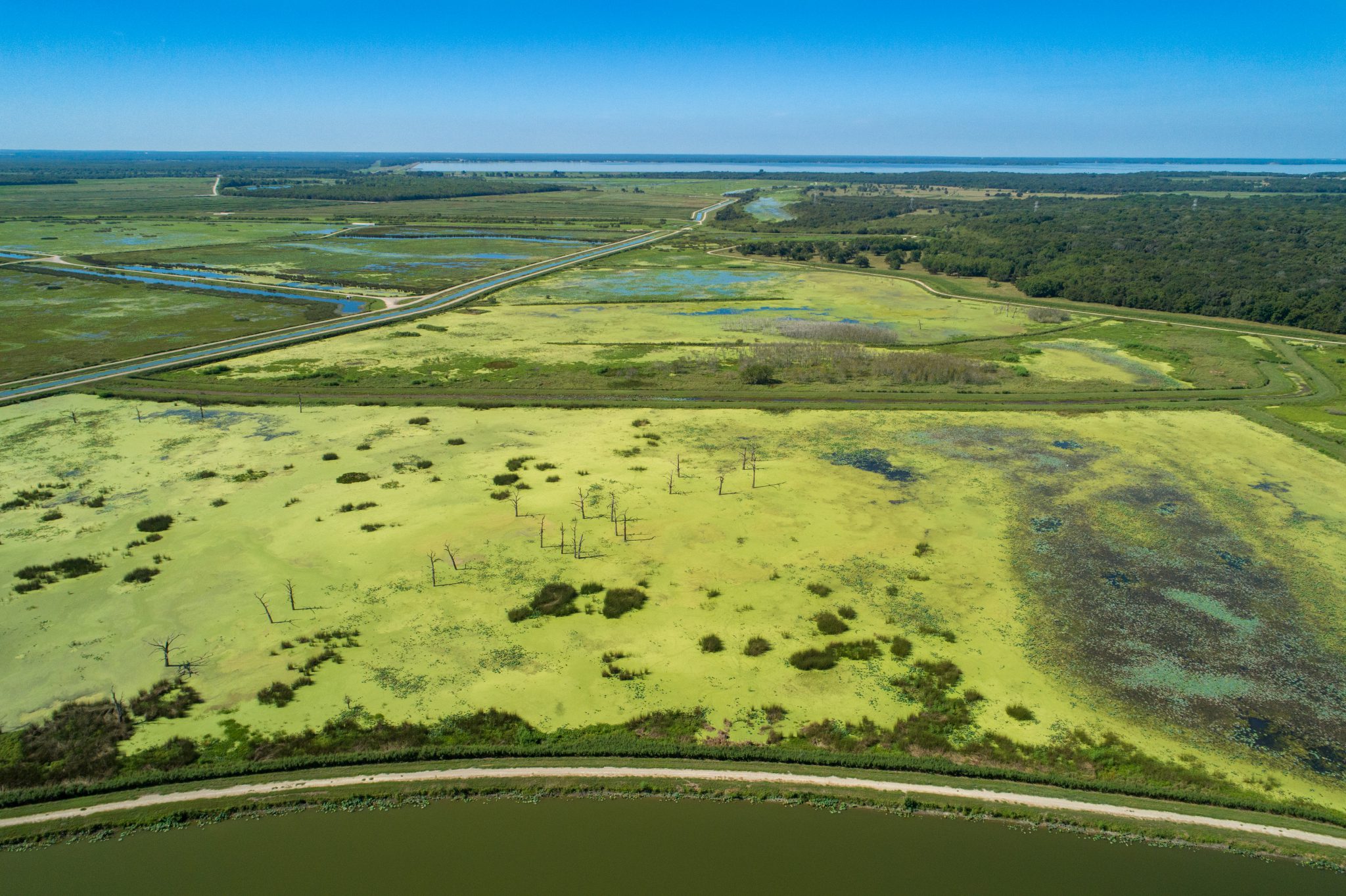 Cedar Creek wetland project moving forward – Tarrant Regional Water ...